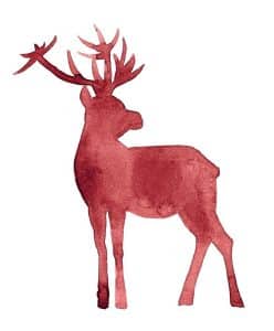 Spiritual Meaning of Red: Why Color Psychology Matters