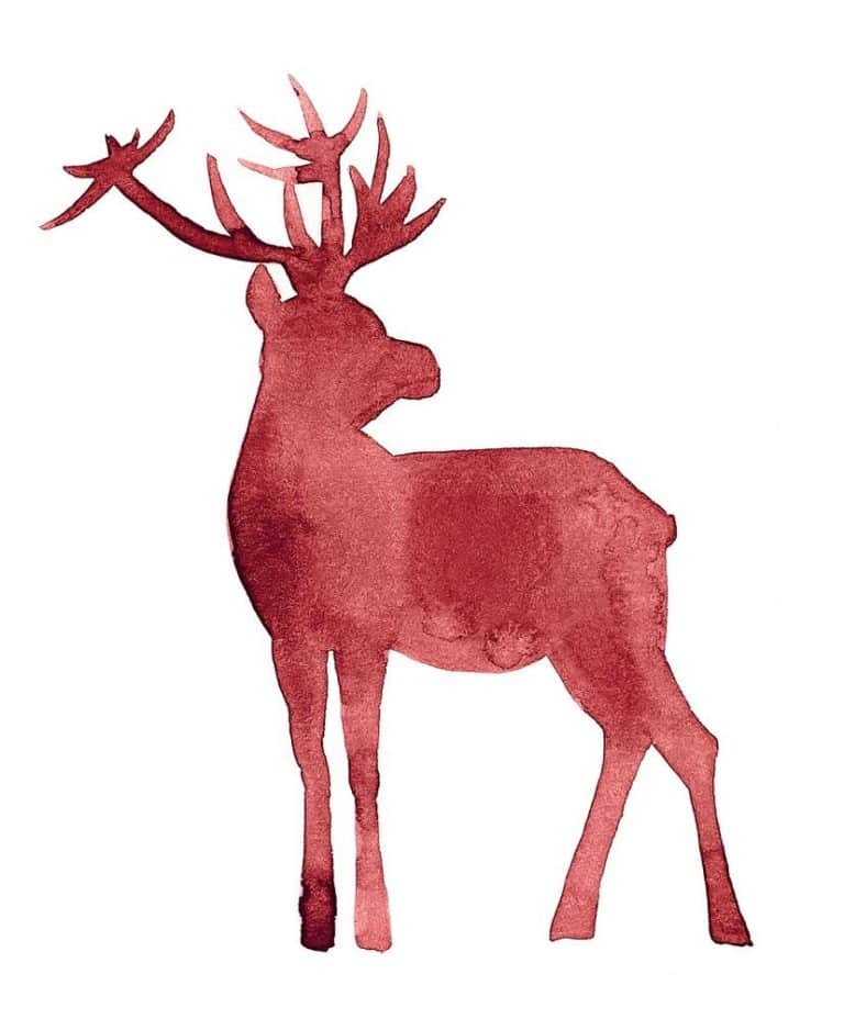 Spiritual Meaning of Red: Why Color Psychology Matters