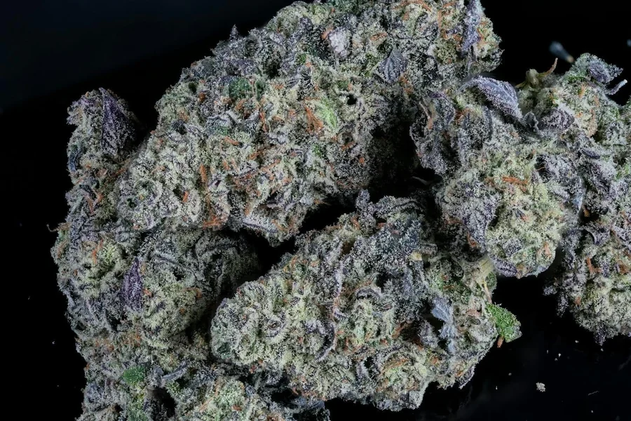 Everything You Should Know About the Granddaddy Purple Strain